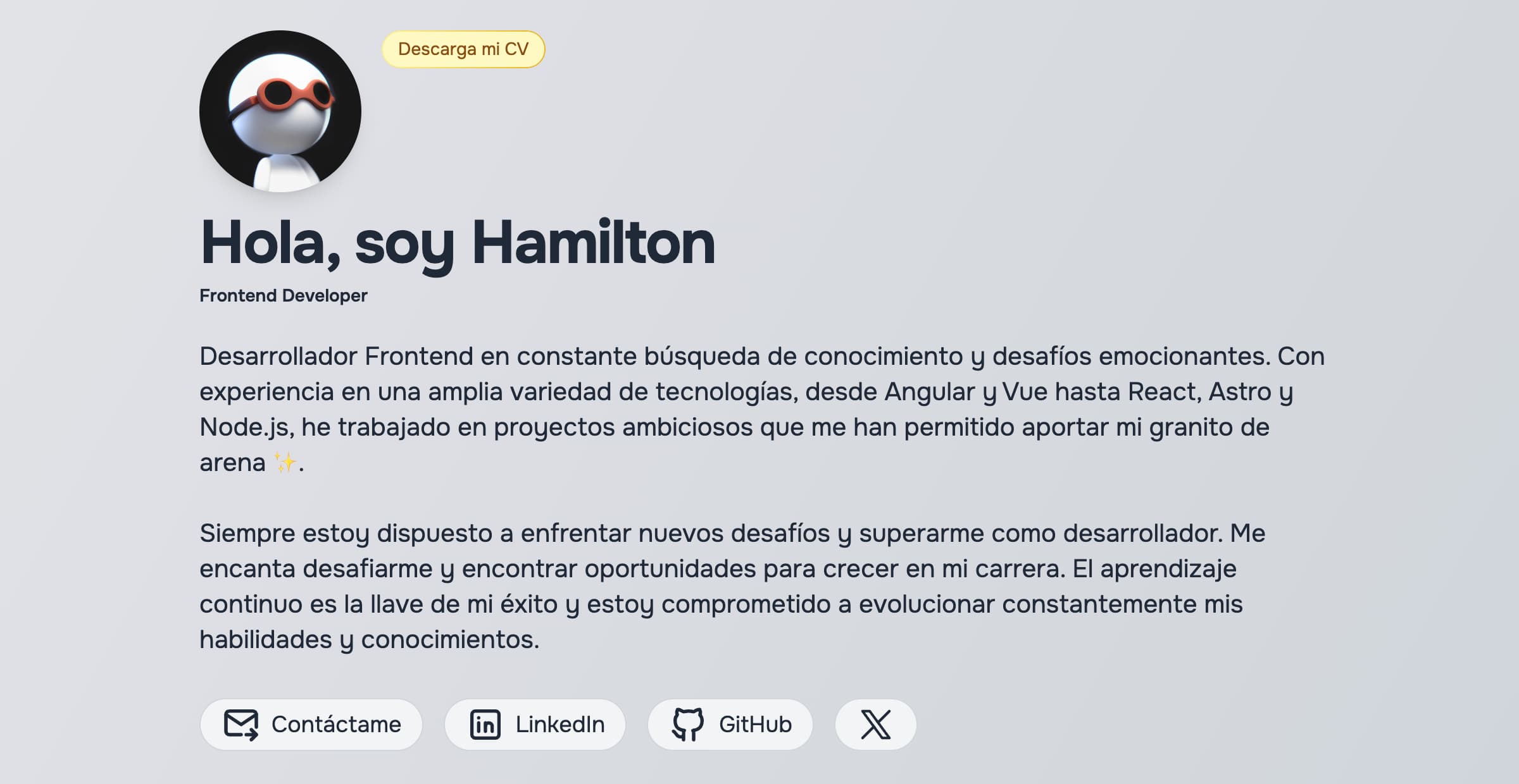 Hamilton Frontend Developer Angular Vuejs Typescript Nodejs Web Applications 